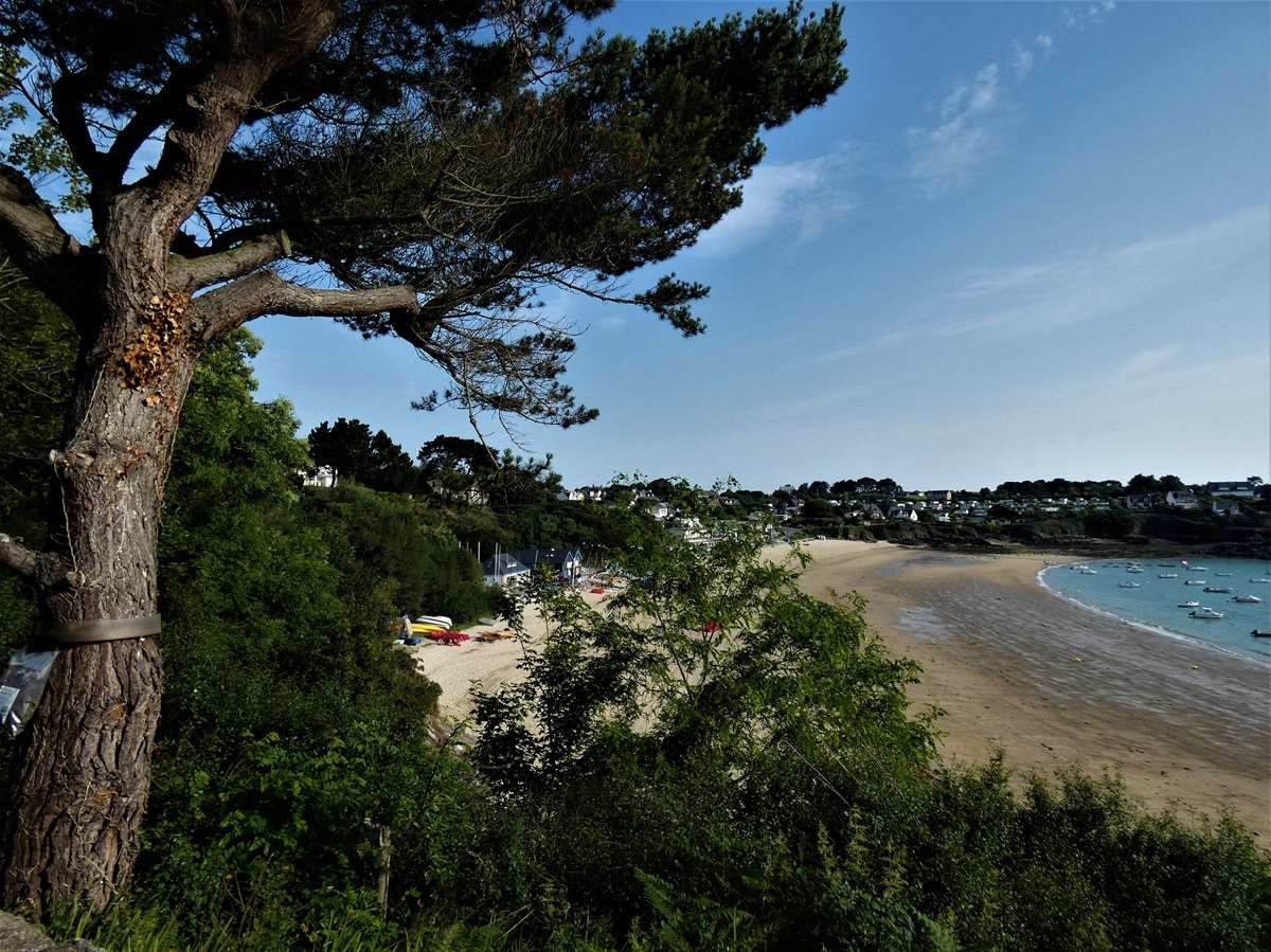Cancale, de Port Mer à Port Briac - Une Vie de Setter