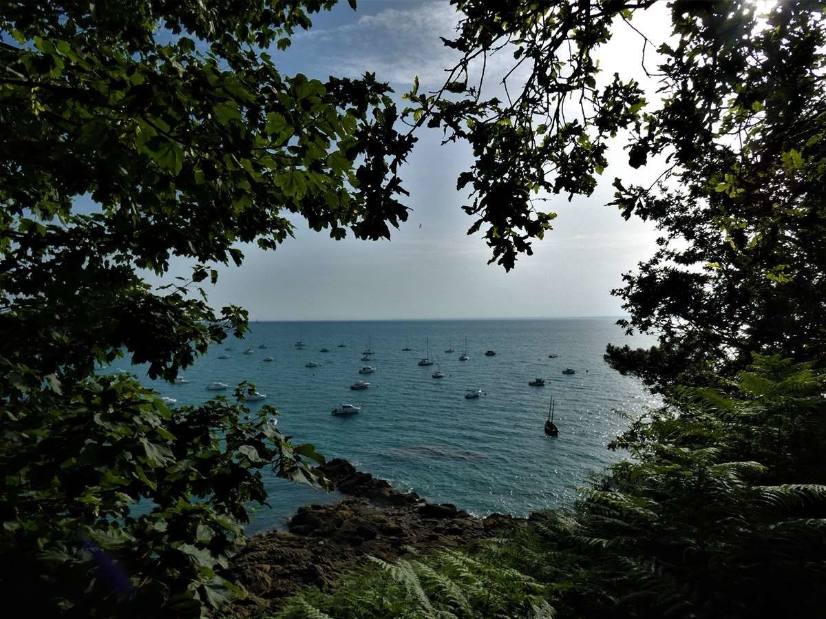 Cancale, de Port Mer à Port Briac - Une Vie de Setter