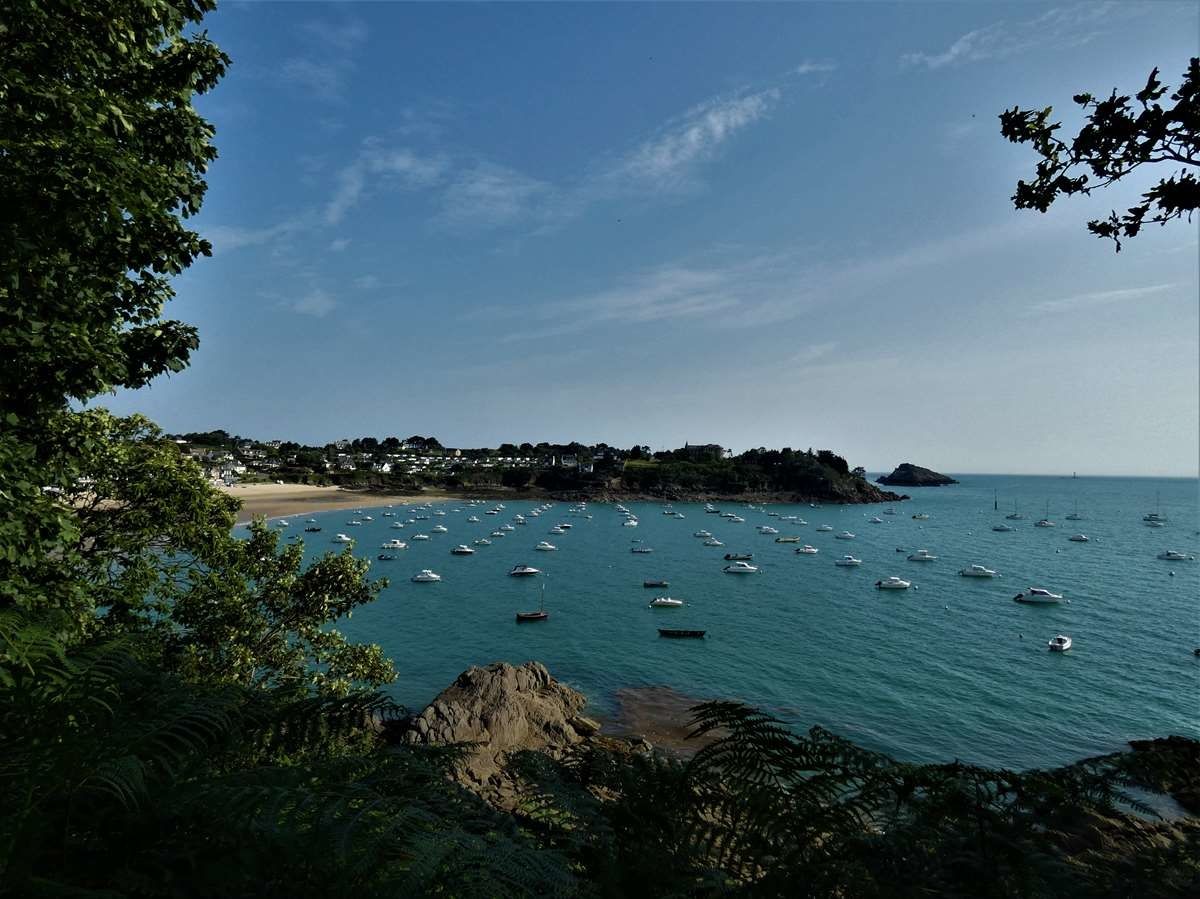 Cancale, de Port Mer à Port Briac - Une Vie de Setter