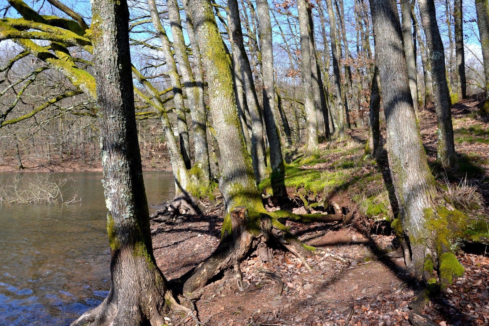 Le Bassin de Champagney - lever du jour - Alain Jacquot-Boileau