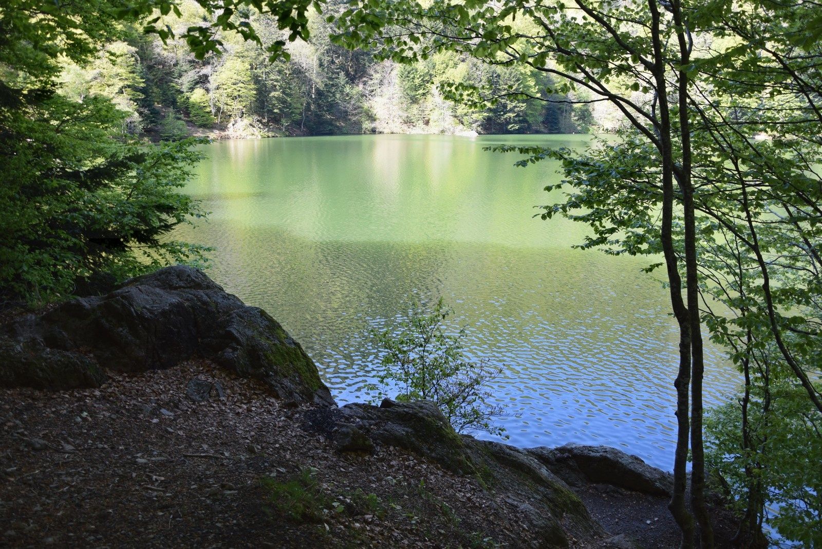 Retour au lac des Perches - Alain Jacquot-Boileau