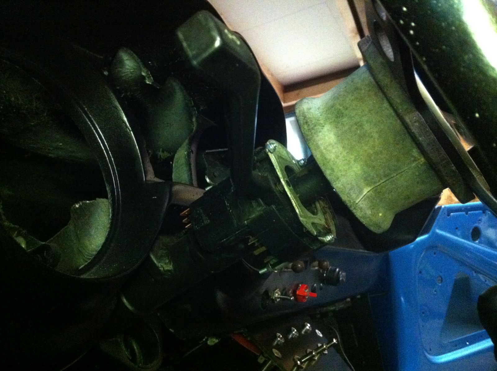 Les organes électriques - bleupassion.over-blog.com