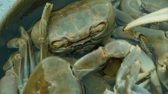 Le Matoutou de crabe, le repas de Pâques des Antilles. - Didier.vaudein ...