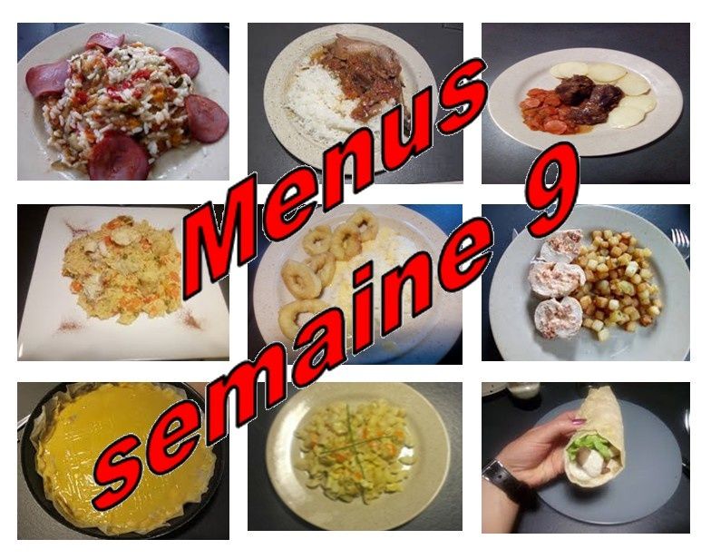 Menus de la semaine 9, idées de repas - Mes Meilleures Recettes Faciles