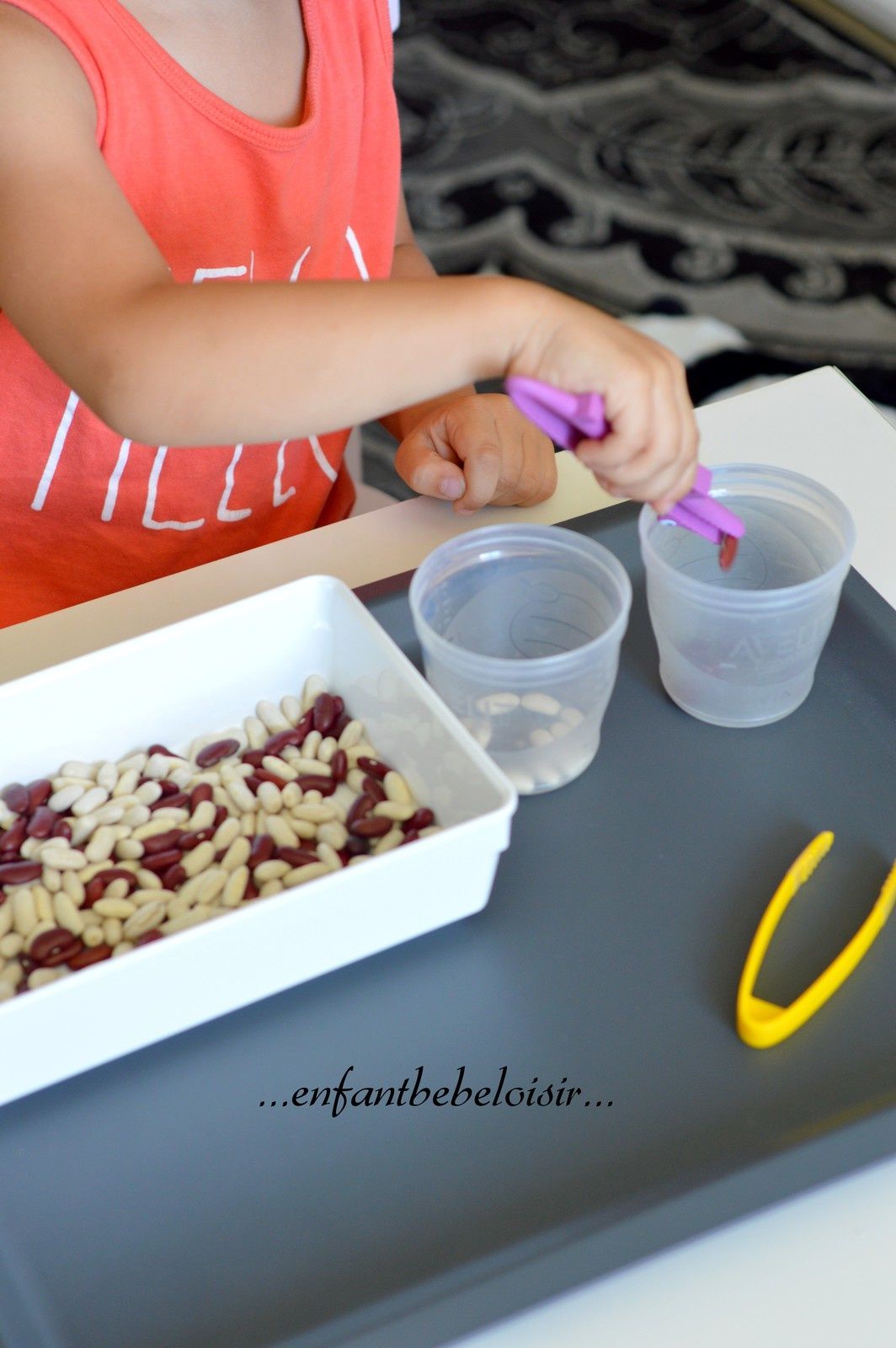 Panier De Pâques Un Lapin En Assiette Carton Enfant Bébé Loisir