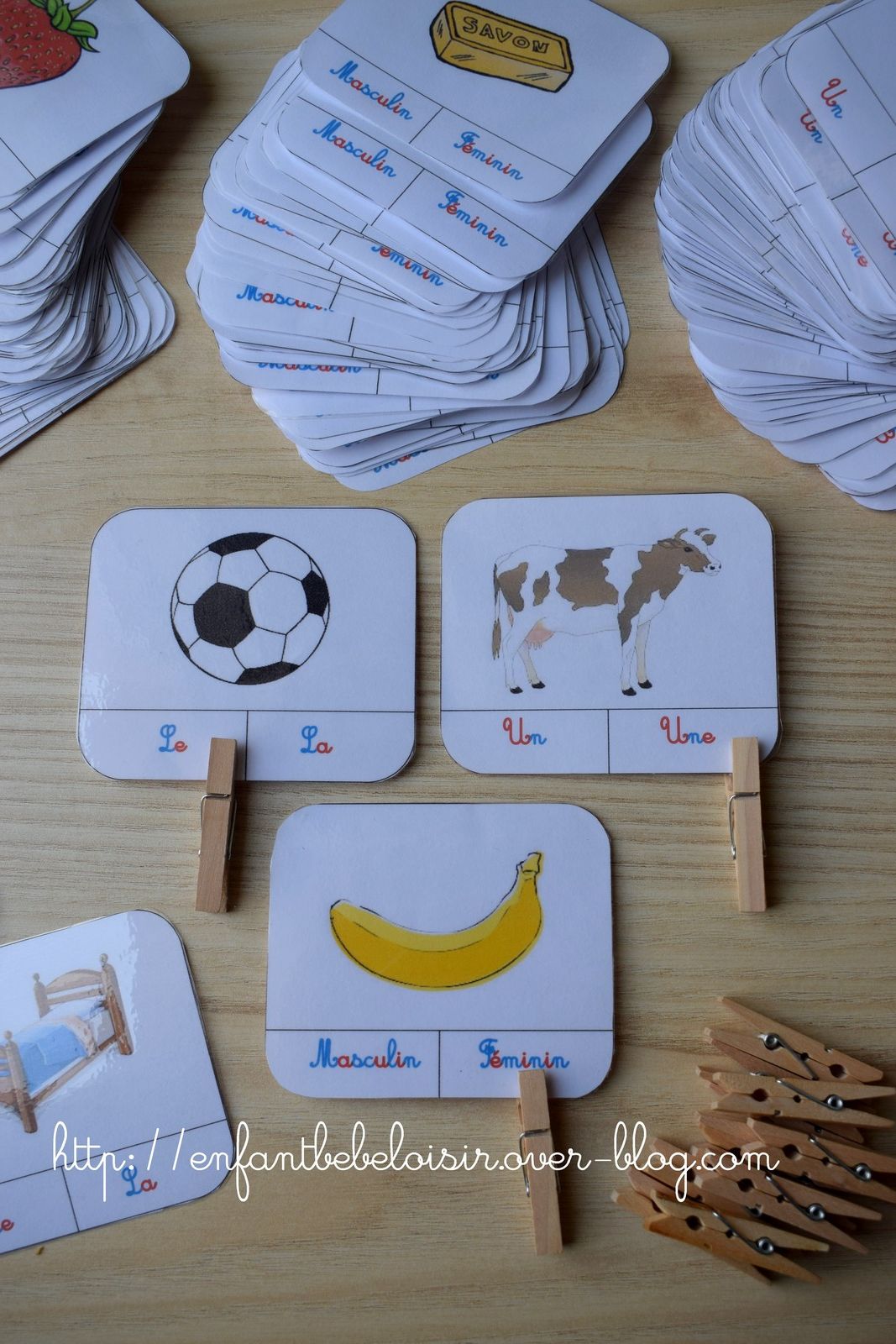 PDF gratuit- 162 cartes à pinces à imprimer - grammaire féminin ...