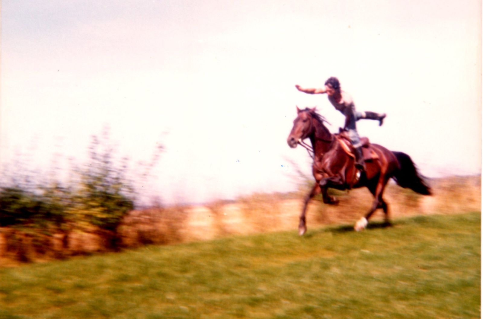 Interview d'Olivier Albe un professionel hors norme - chevalblablabla ...