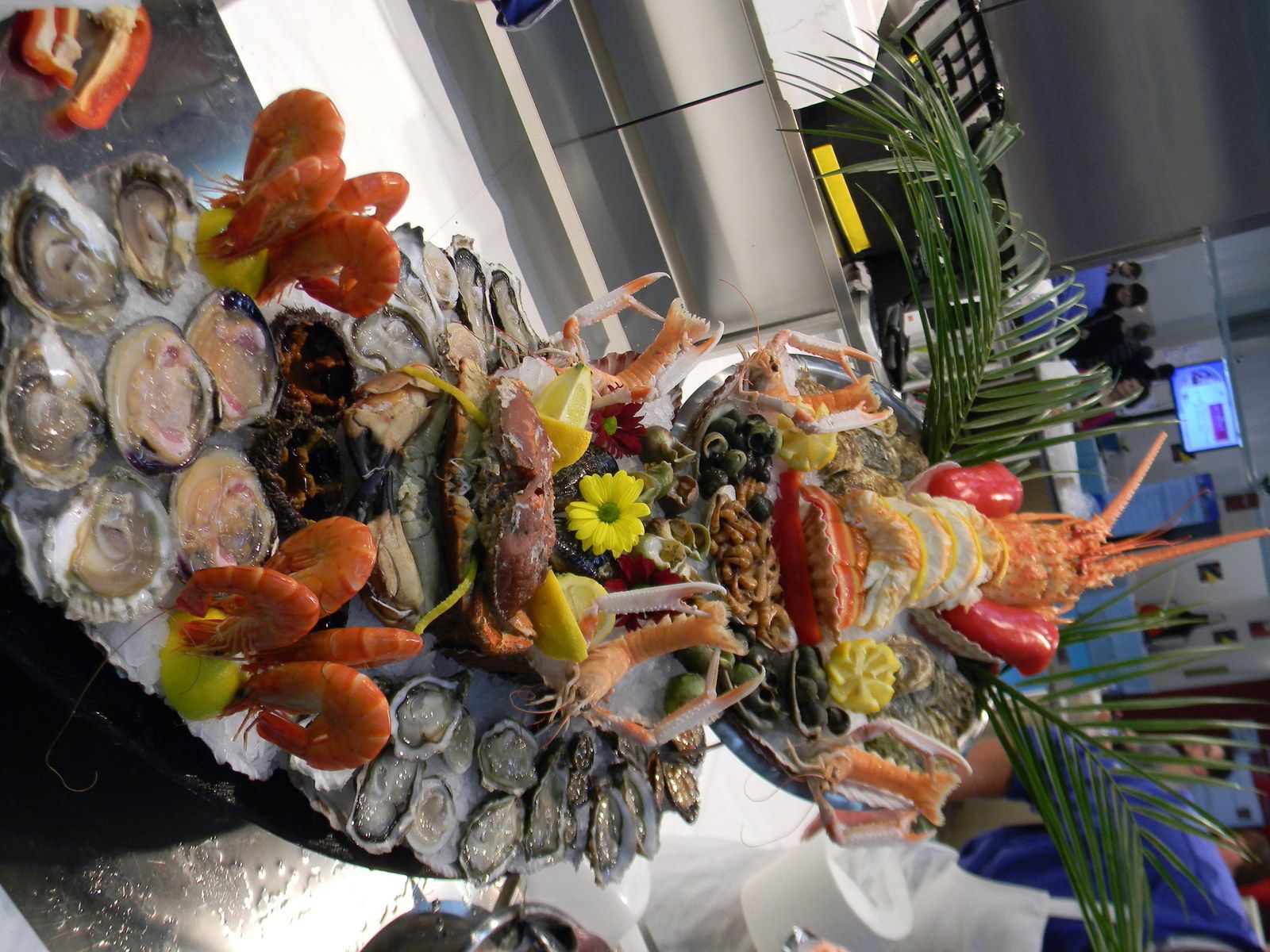 concours Poséïdon - K.bio