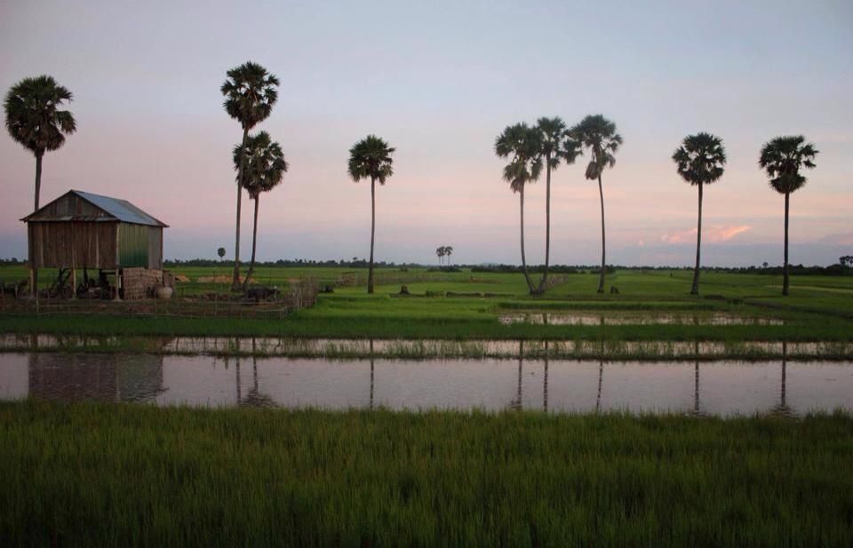 A Kampot , sur les diguettes ... - Kampot la prospère - années 60