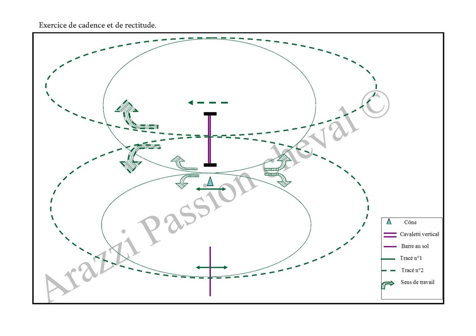 Travail de cadence et de rectitude. - Vi-Kasvara, Passion Cheval