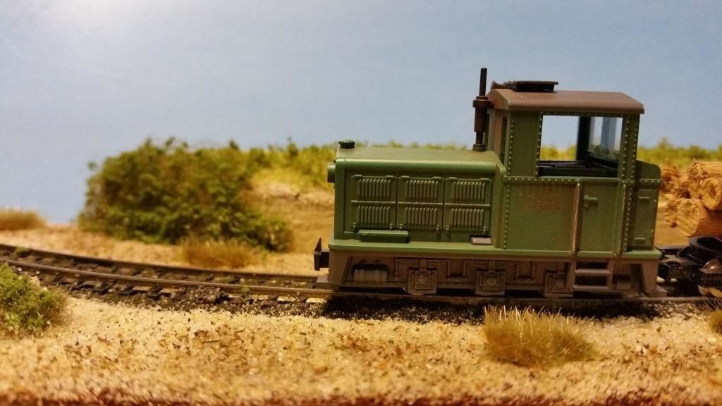 Roco loco diesel LEO HOe dans la campagne - train-dls