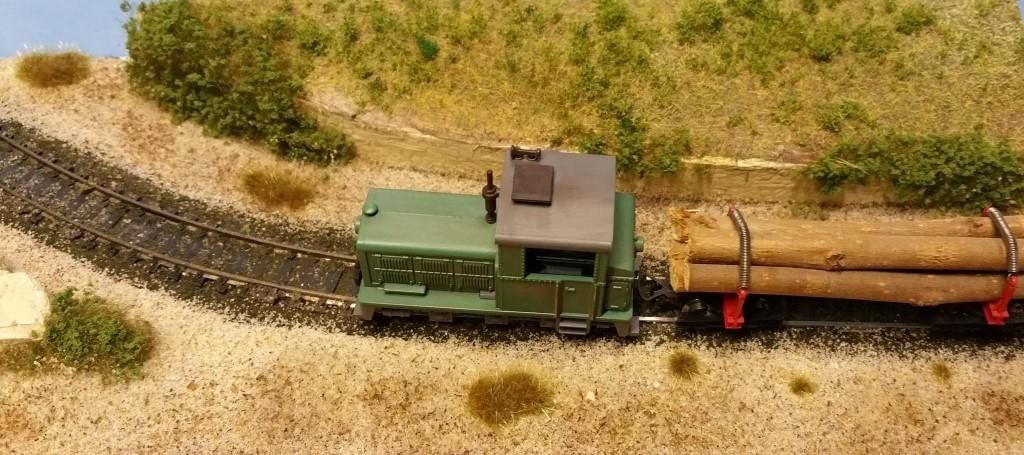 Roco loco diesel LEO HOe dans la campagne - train-dls