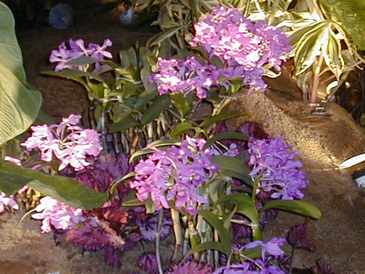 Hommage de la MSA à Daniel Le Hay - Amicale des retraités de la ...