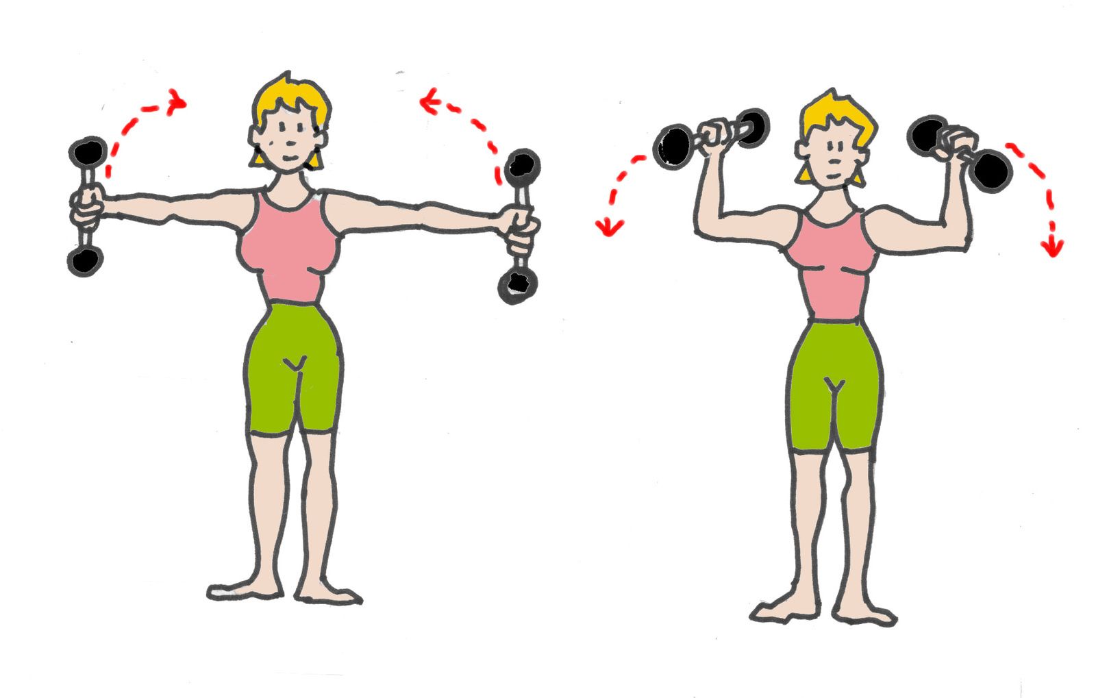 Exercices avec haltères - Club d'Activités Gymniques des Lilas