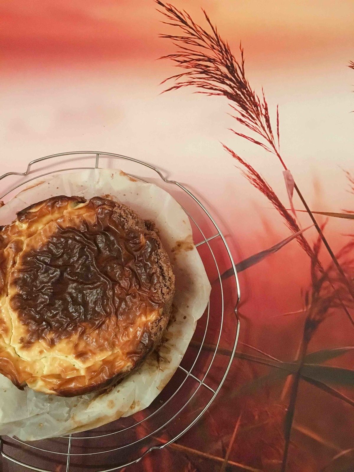 Cheesecake salé facile - Bulles de vie