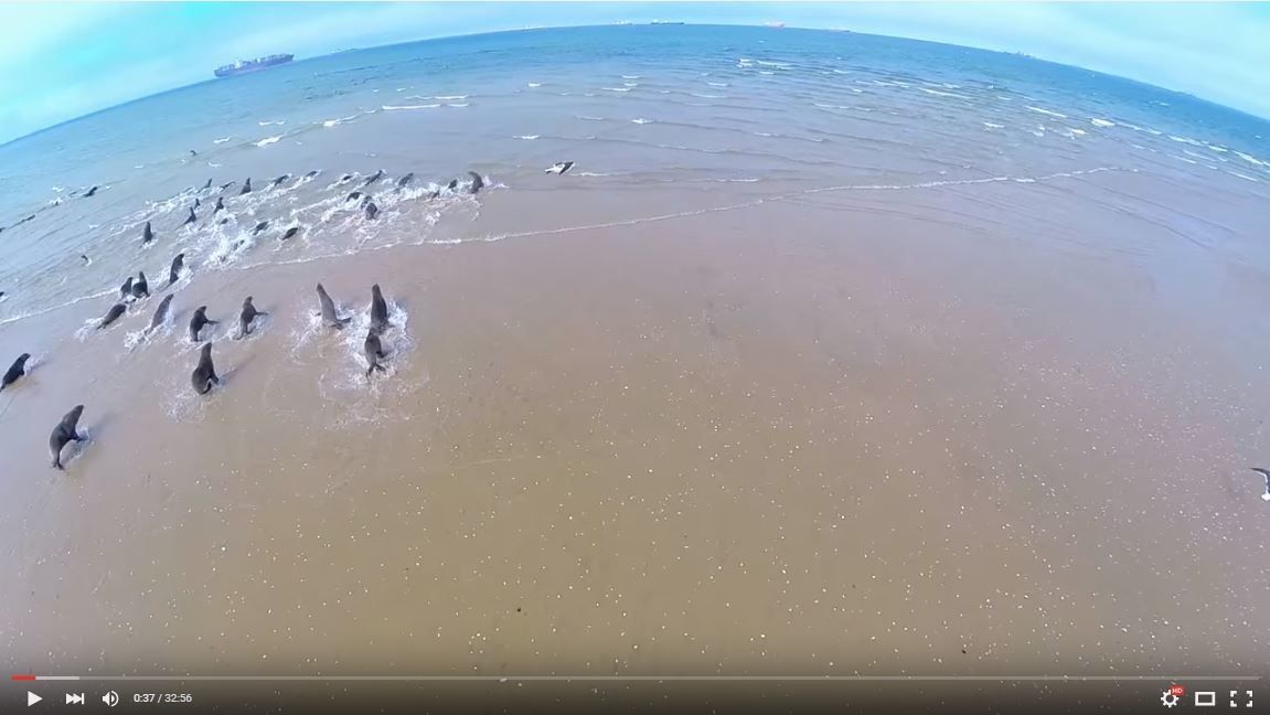 The first world-wide sport video competition by GoPro : barrel of the ...