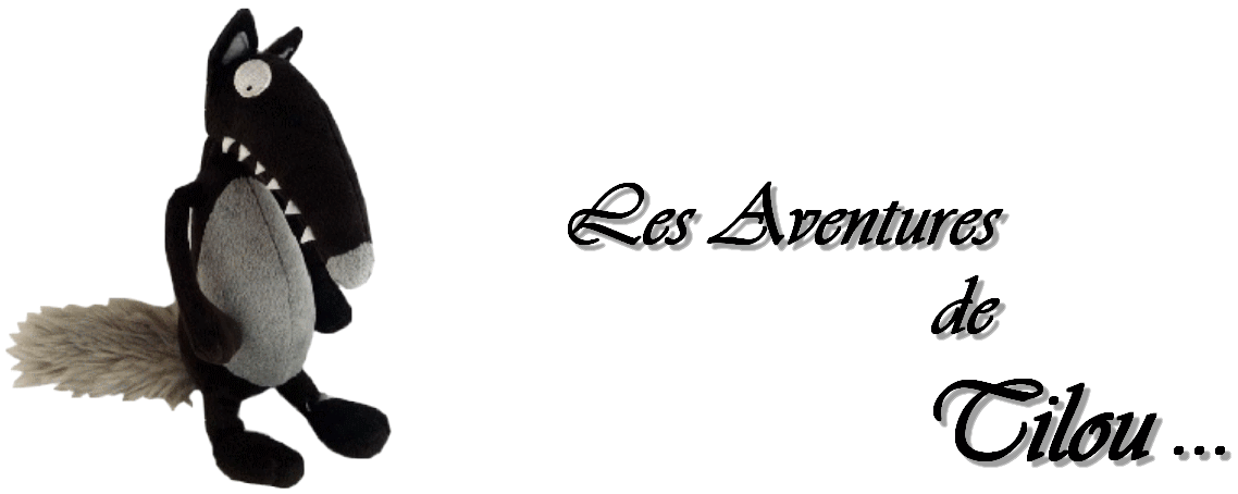 Les Aventures de Tilou - Les aventures de Tilou, mascotte de la classe ...