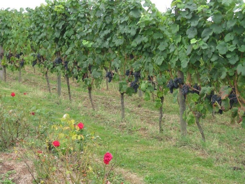 Le Gers en camping-car en août 2015 - Partager