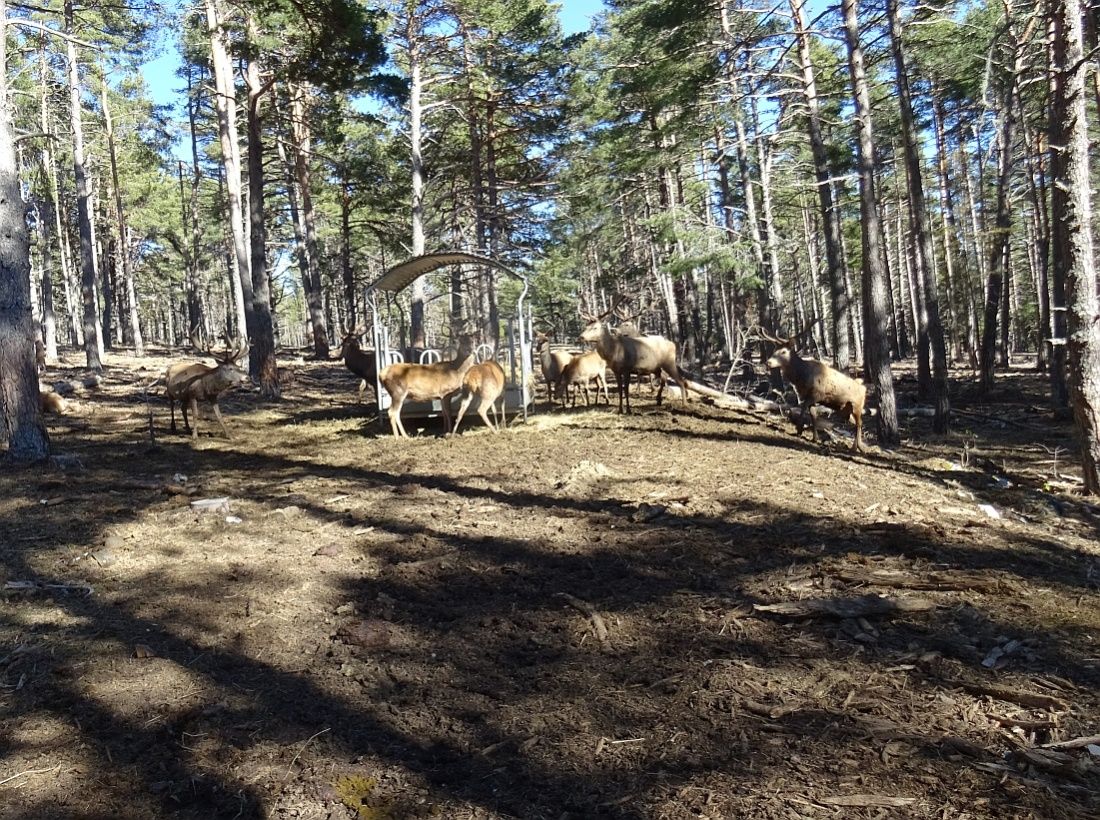 Réserve des Monts d'Azur à Thorenc - villages et villes de France