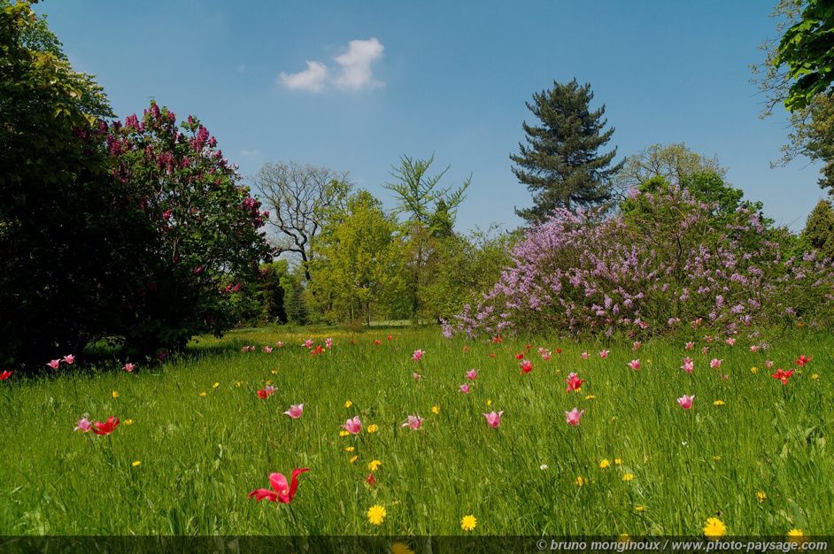 Voilà le printemps ! - carole durand, assistante maternelle, meuse
