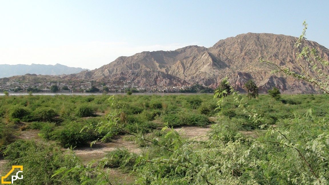 Forests in Pakistan - Voice of Pakistan