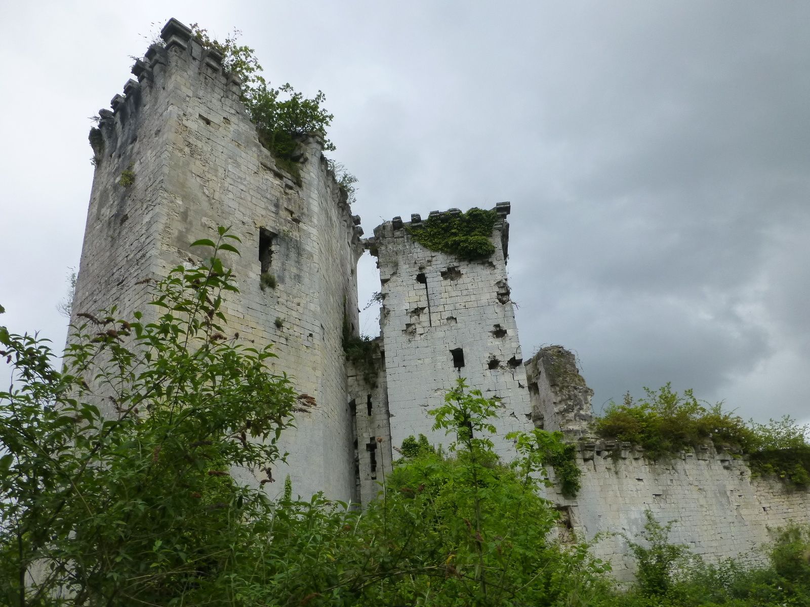 le chateau de Tancarville et le vallon du Vivier - les Risle Pattes en ...