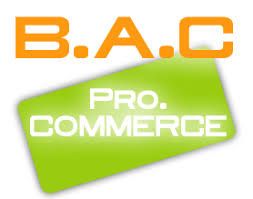 Bac Pro Commerce : référentiel diplôme - Les outils du bilan de ...