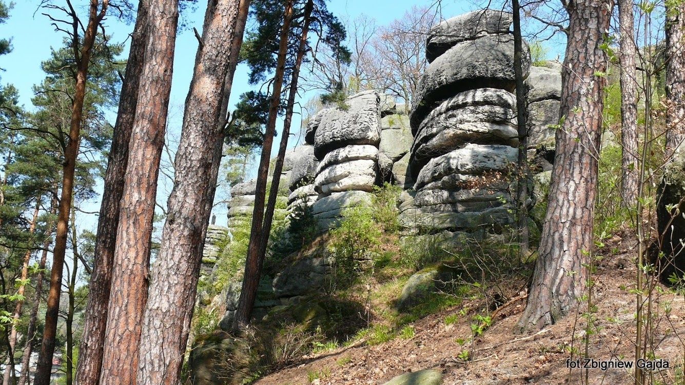 VOUS AVEZ EMPRUNTÉ DES CHEMINS ROCAILLEUX ET JE NE VOYAIS QUE DU FEU ...