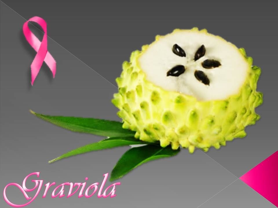 Le Corossol, fruit du Graviola un anticancéreux ! - Hopefulness - Le ...