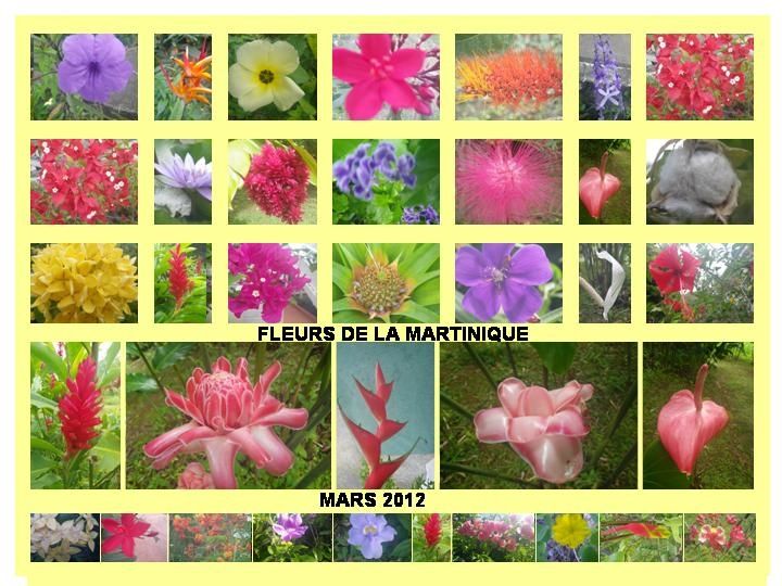 MARTINIQUE - LOIN DES FOULES