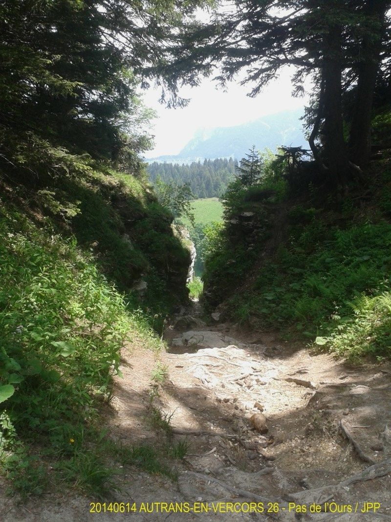 Le Plateau de la Molière / Autrans (26) - Rando-Evasion