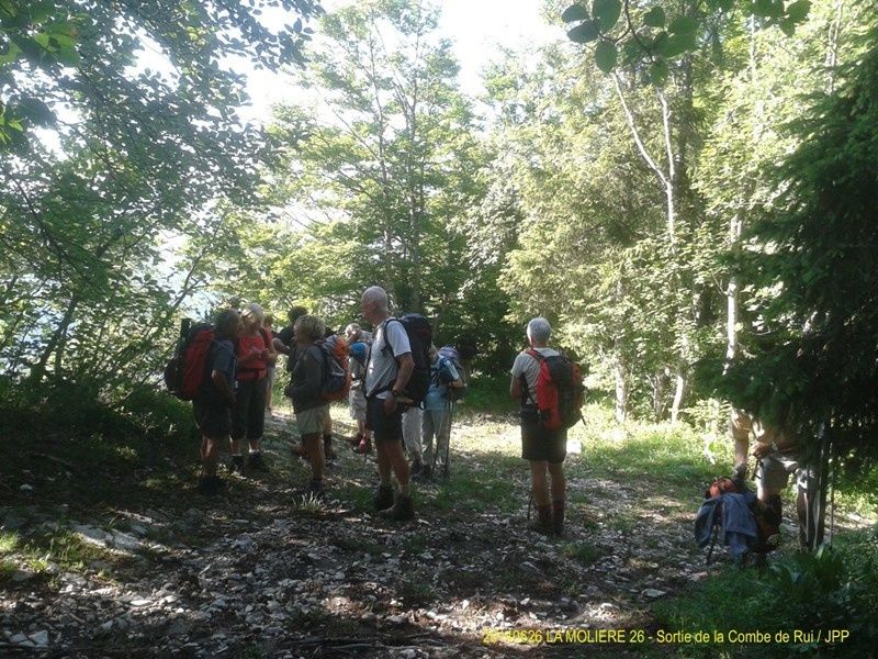 Le Plateau de la Molière / Autrans (26) - Rando-Evasion