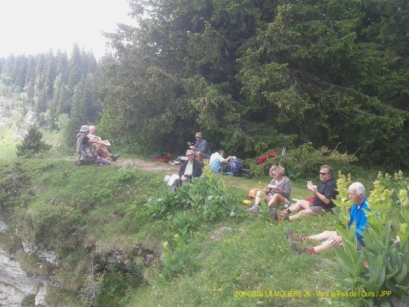 Le Plateau de la Molière / Autrans (26) - Rando-Evasion