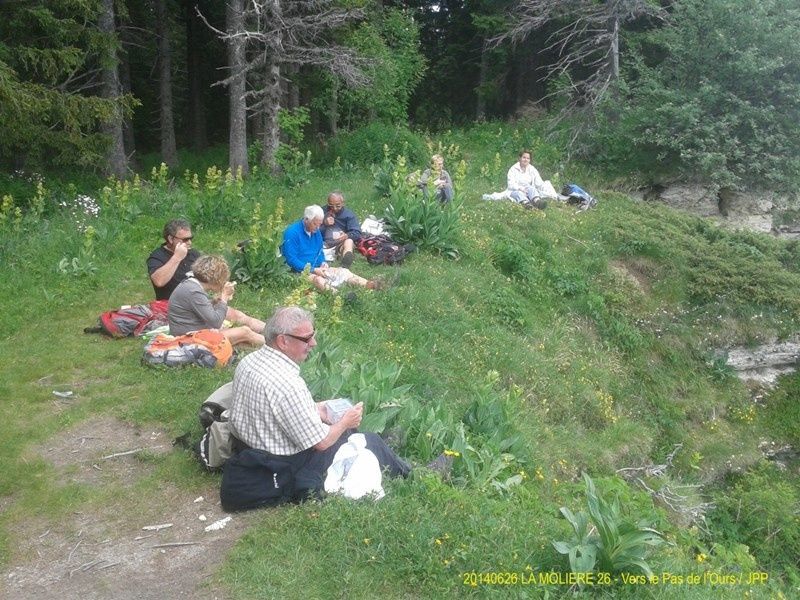 Le Plateau de la Molière / Autrans (26) - Rando-Evasion