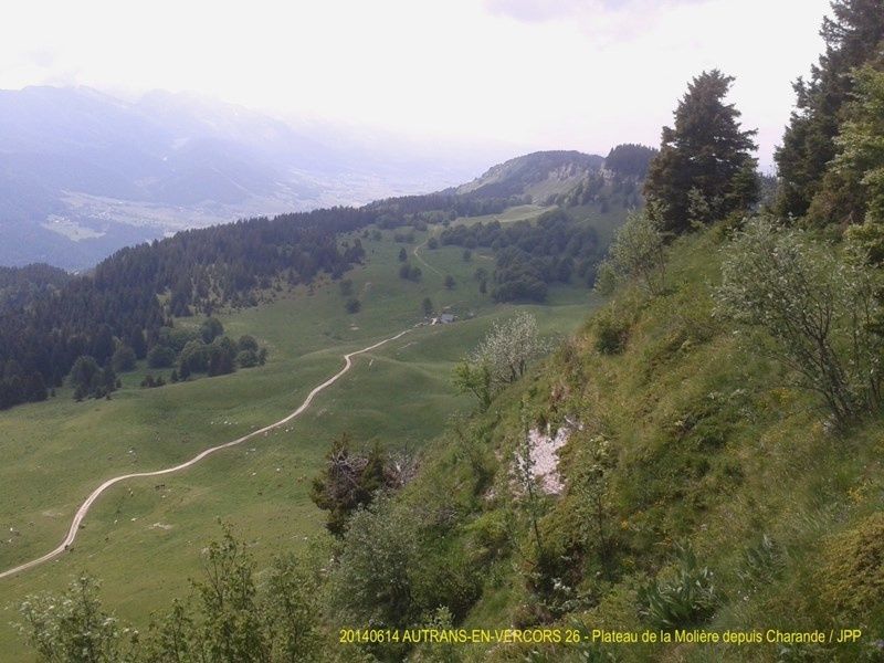 Le Plateau de la Molière / Autrans (26) - Rando-Evasion