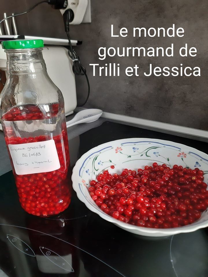 LIQUEUR DE GROSEILLES - Le monde gourmand deTrilli et Jessica