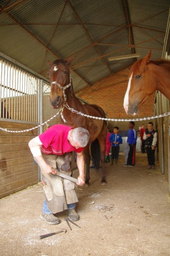 Le maréchal Ferrant - Le blog de la classe équitation des CM2