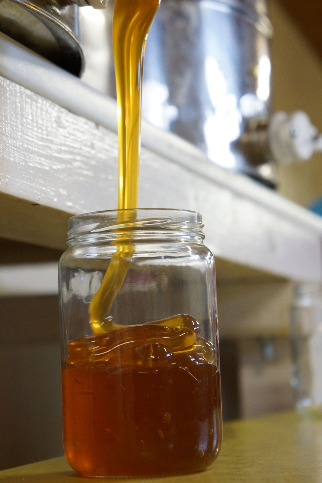 Mise en pot de notre miel de Montagne - Miellerie des Monts du Forez