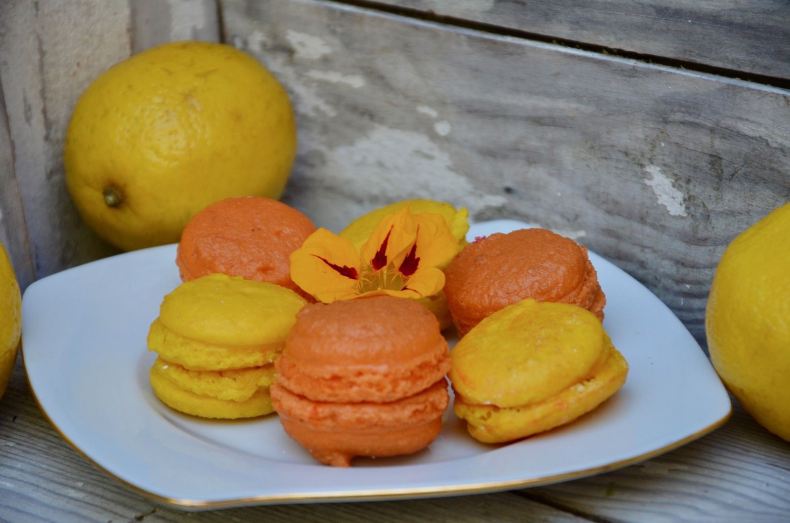 Macarons au citron - La p'tite cuisine de Pauline