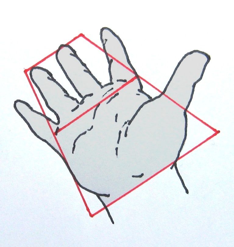 LE CORPS HUMAIN suite - LES BASES DU DESSIN ... et de la peinture