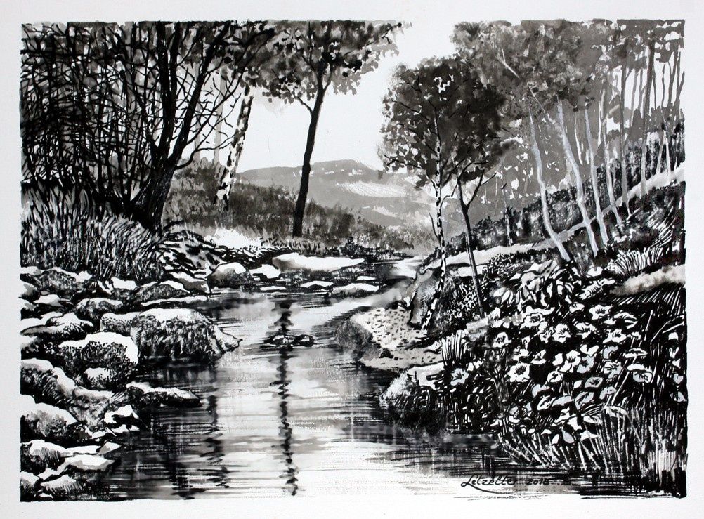 TRAVAIL A L'ENCRE DE CHINE - LES BASES DU DESSIN ... et de la peinture