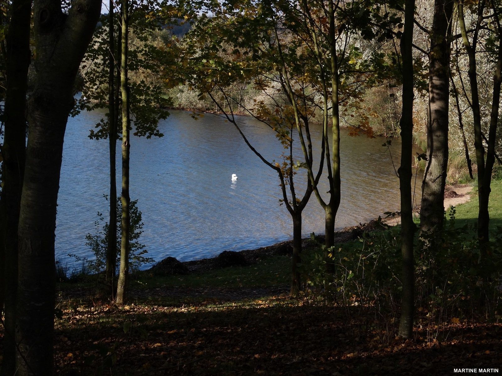 Promenade d'automne aux étangs de Cergy