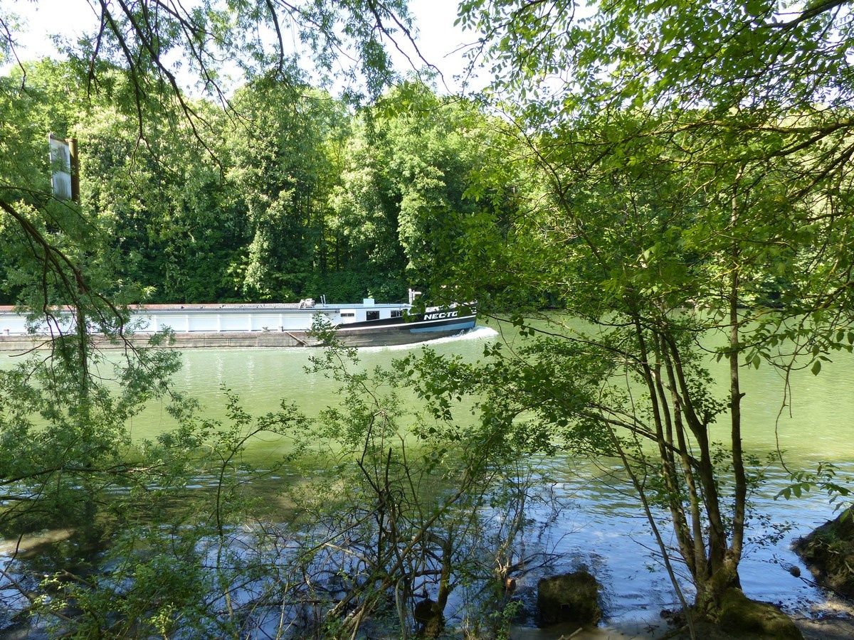 Etangs de Cergy en Juin