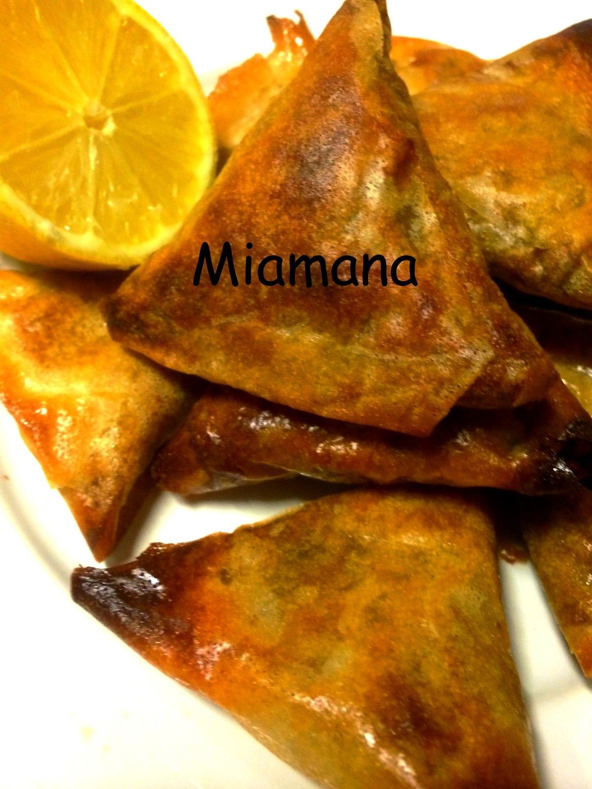 Bricks viande hachée et fromage frais - Une débutante en cuisine!