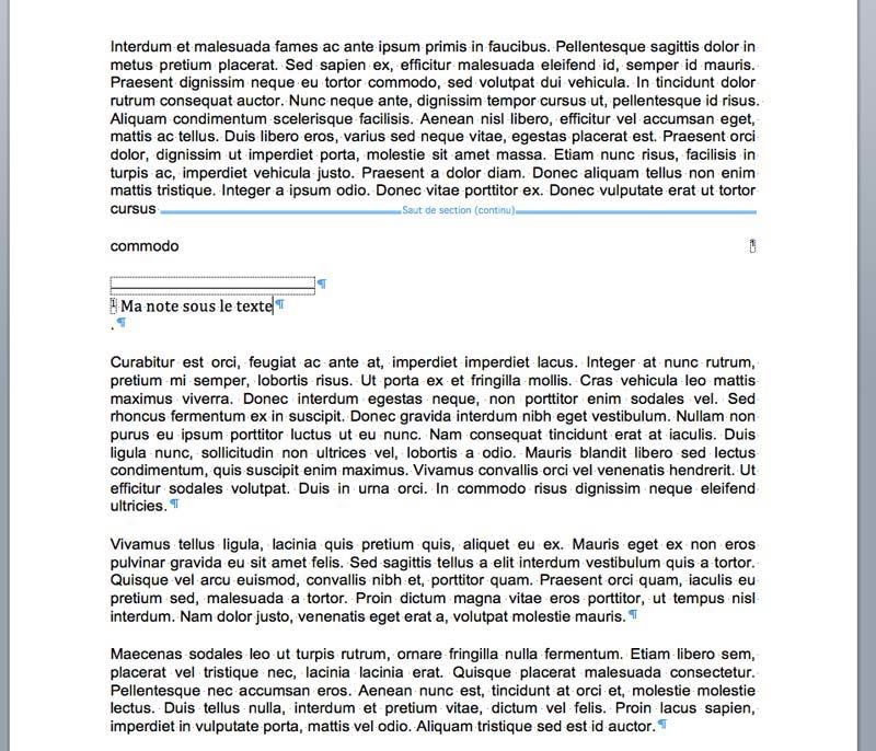 Note sous word : bas de page et note de fin de document - Cours faciles ...