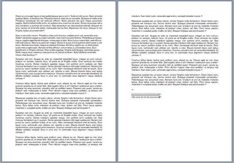 Note sous word : bas de page et note de fin de document - Cours faciles ...