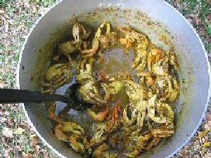 9ème Recette - LE MATOUTOU - (origine : Martinique) - Mimi-Reporter ...