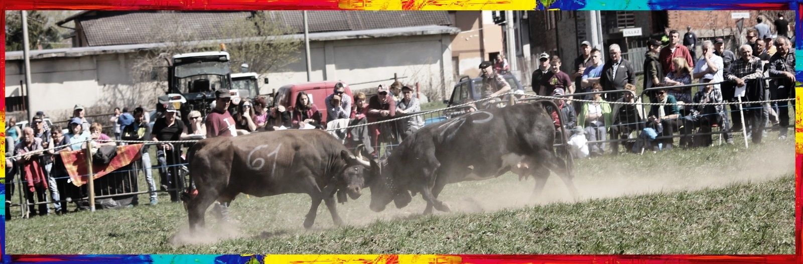 Bataille de Reines Saint Marcel 31 Mars 2019. Deuxième partie. - Les ...