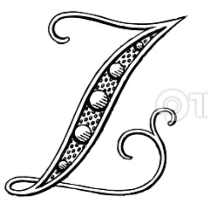Enluminure lettrine : Z (modernes et anciennes) - Chez careli
