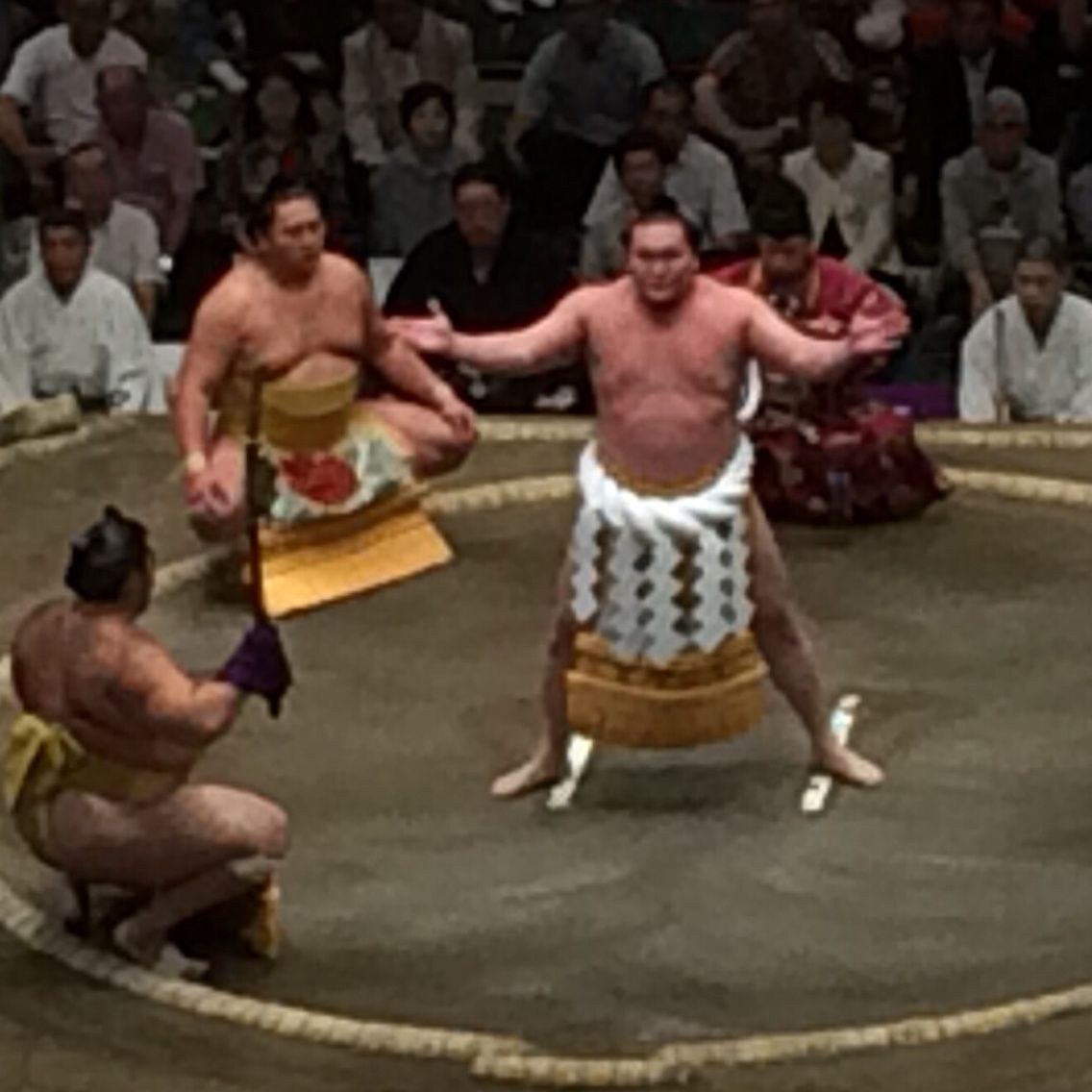 Le Sumo - Exprimons-nous